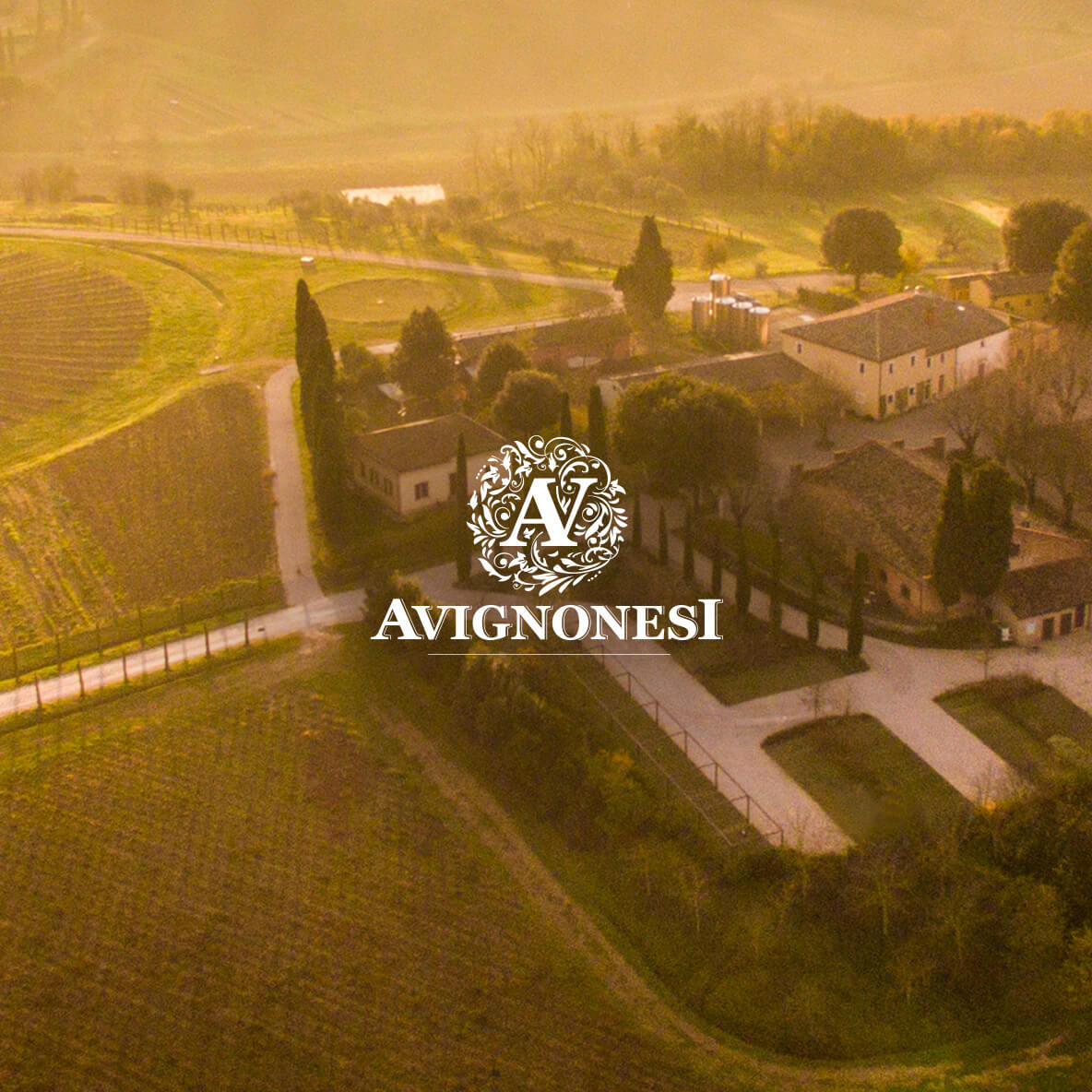 Avignonesi – Rinascente